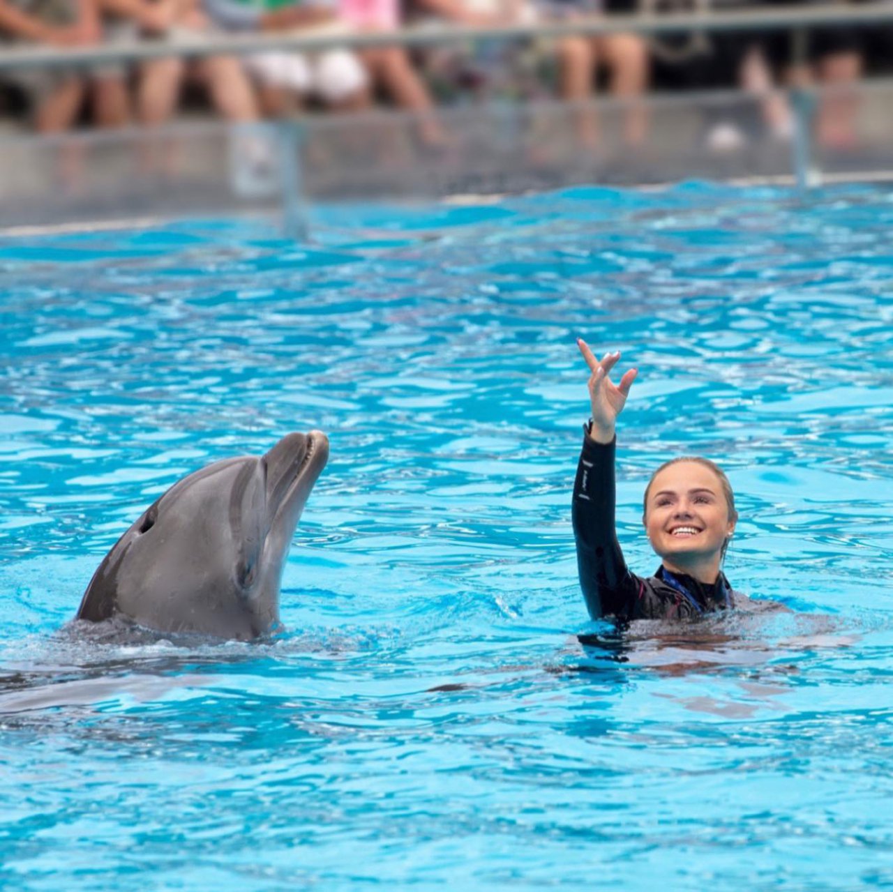 Delfinariumas | Lietuvos jūrų muziejus